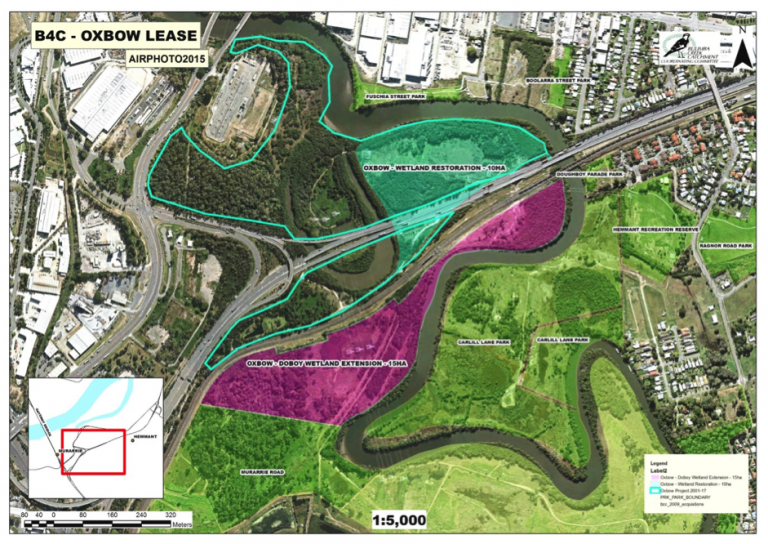 B4C extends wetland rehabilitation in lower Bulimba Creek – Bulimba ...