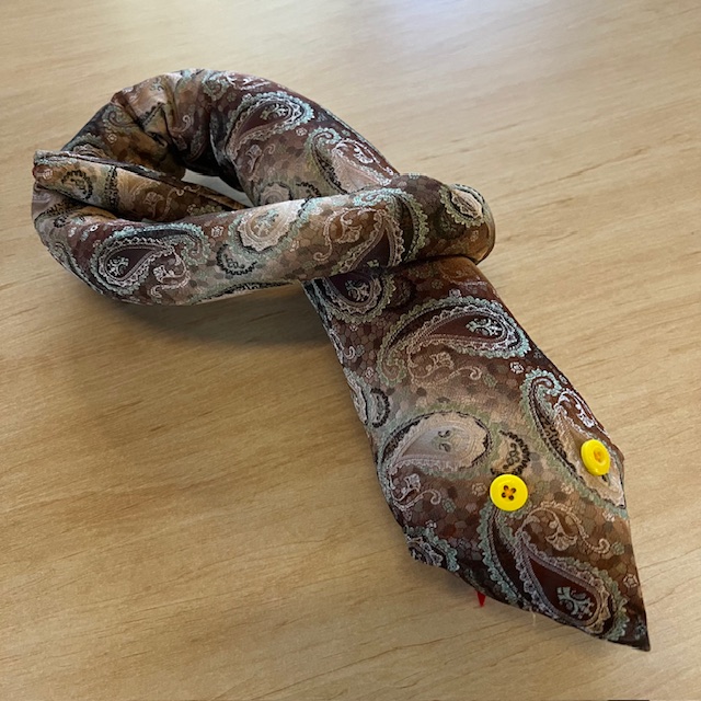 Sally the Snake – Bulimba Creek Catchment Coordinating Committee